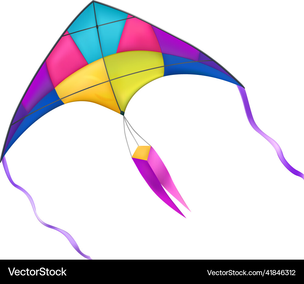 Bird shaped kite composition Royalty Free Vector Image