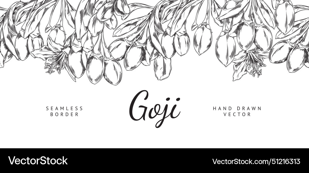 Goji berries seamless border Royalty Free Vector Image