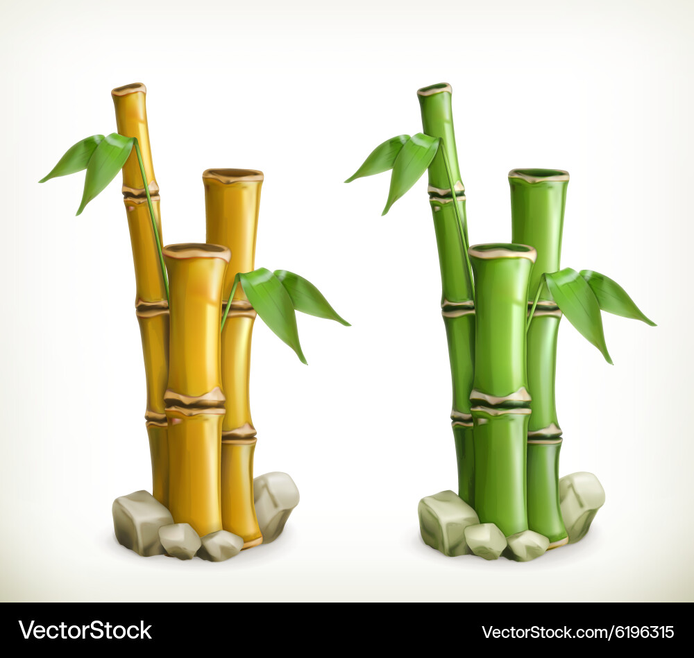 Bamboo icon Royalty Free Vector Image - VectorStock