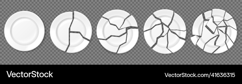 Broken plates shattered food plate cracked Vector Image