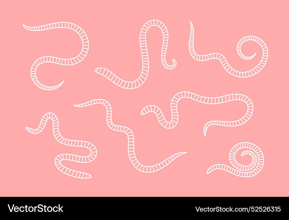 Earthworm Royalty Free Vector Image - VectorStock