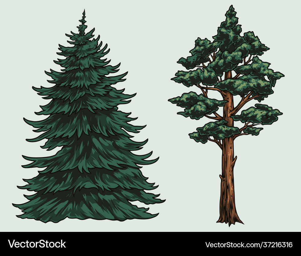 Colorful Conifer Trees Royalty Free Vector Image