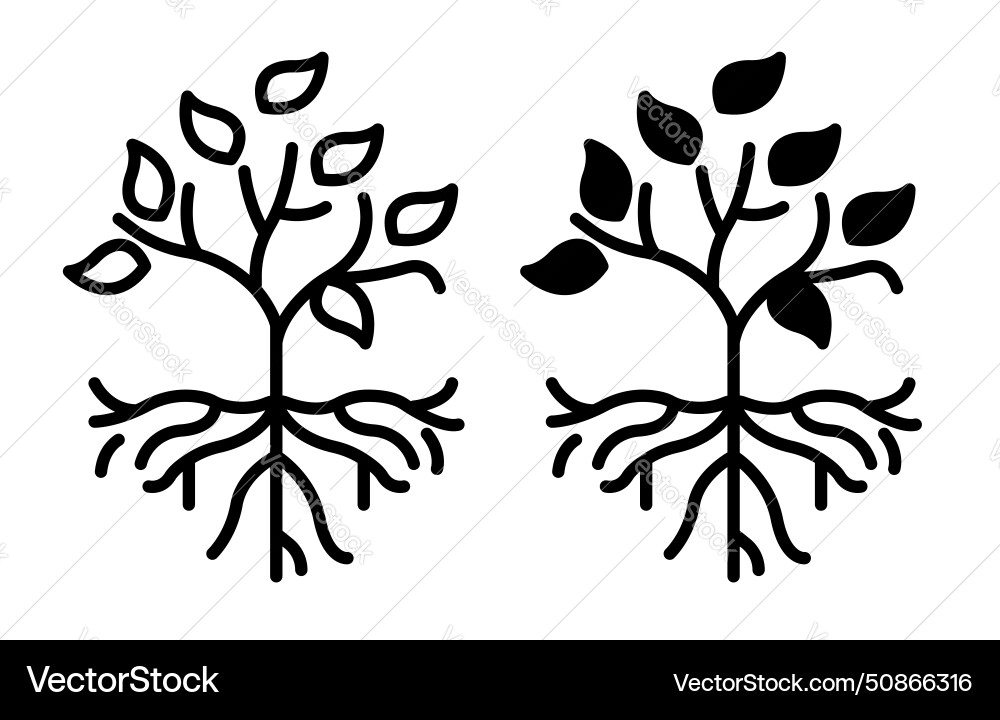 Tree with roots and leaves icon set root leaf Vector Image