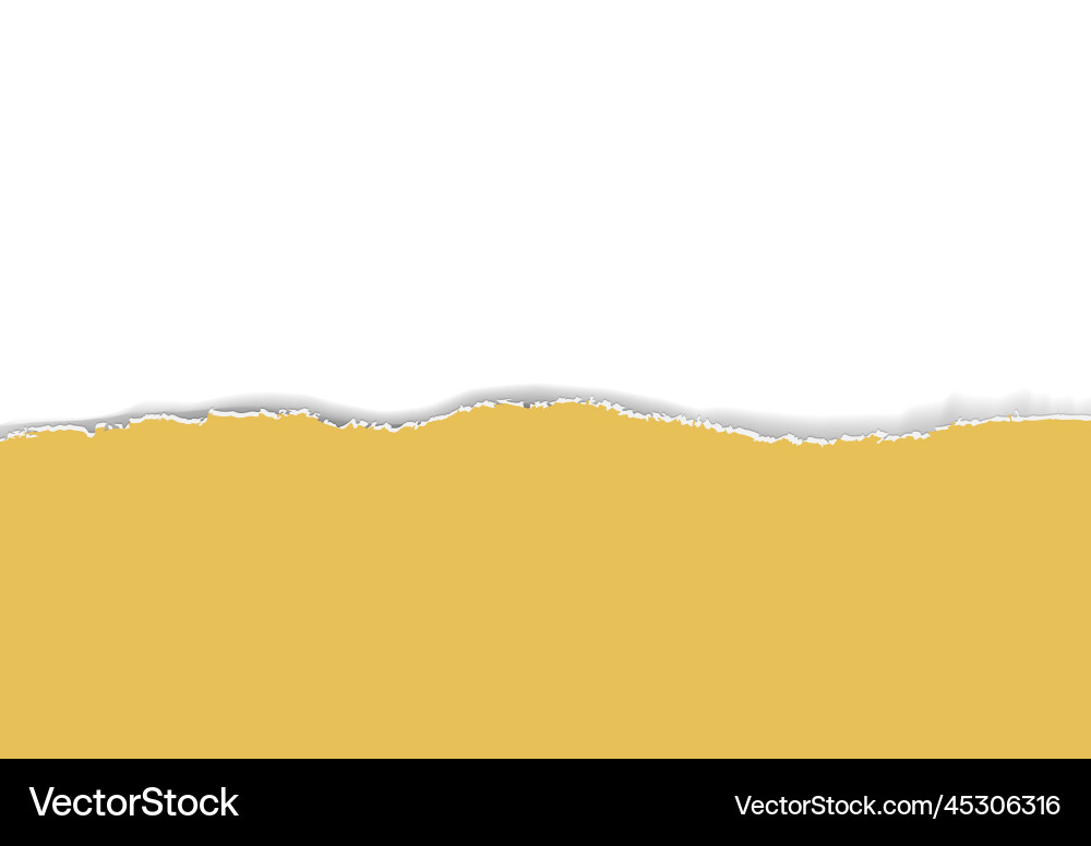 Yellow ripped paper isolated white background Vector Image