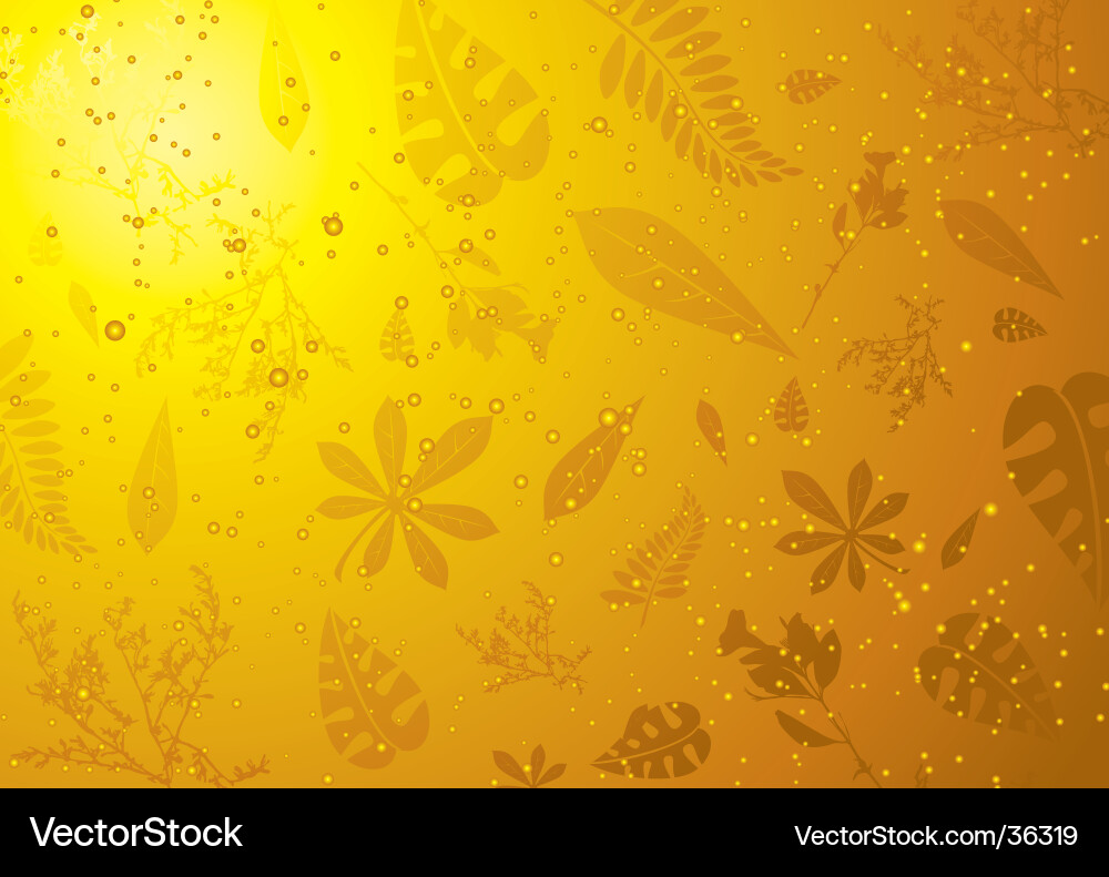 Amber set Royalty Free Vector Image - VectorStock