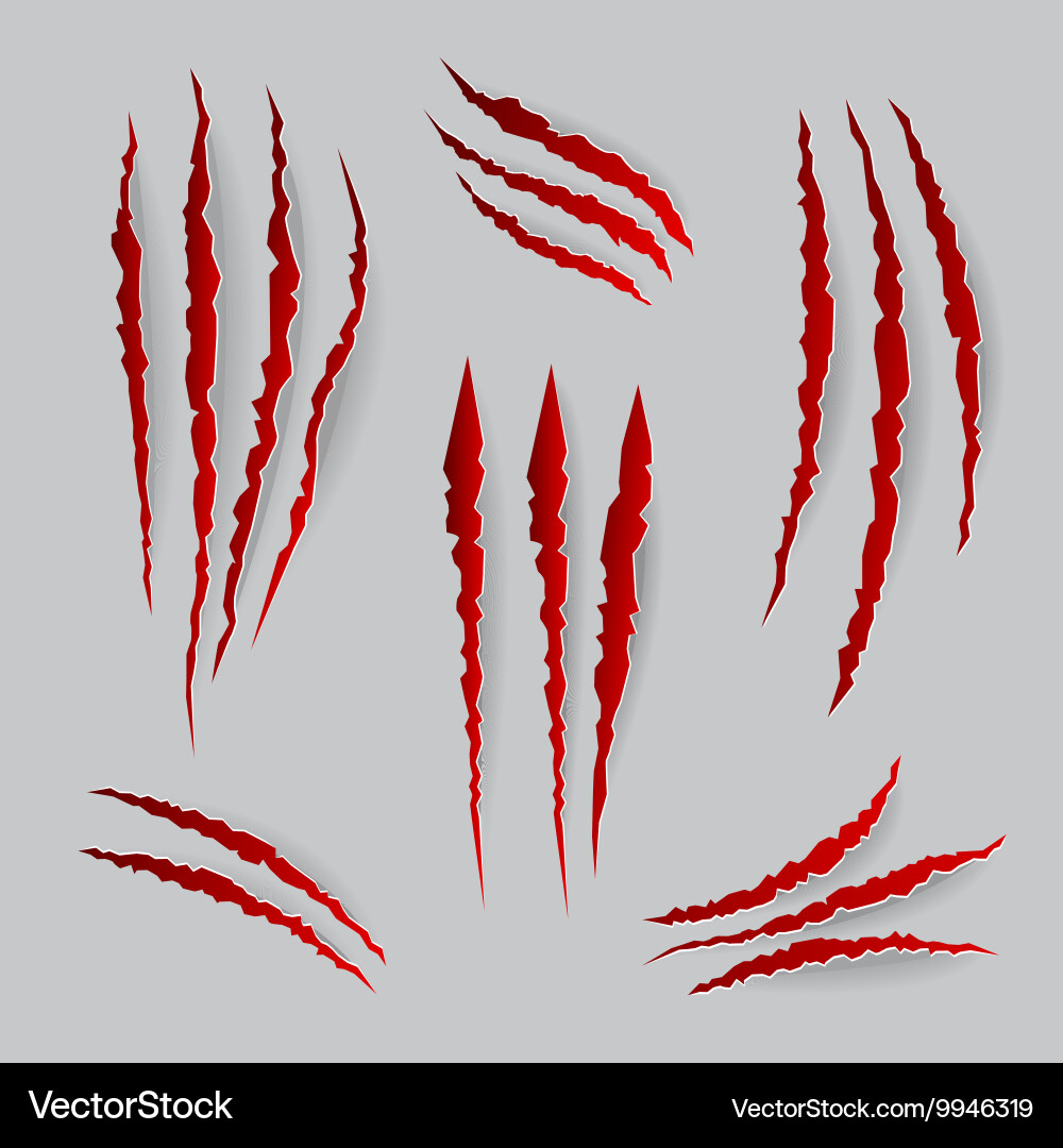 Cat claws marks set Royalty Free Vector Image - VectorStock