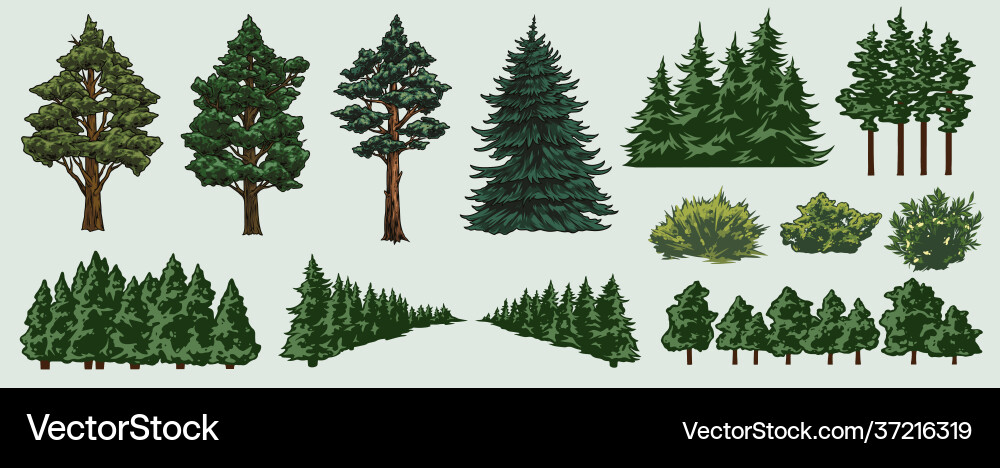 Bushes Vector Images (over 86,000)