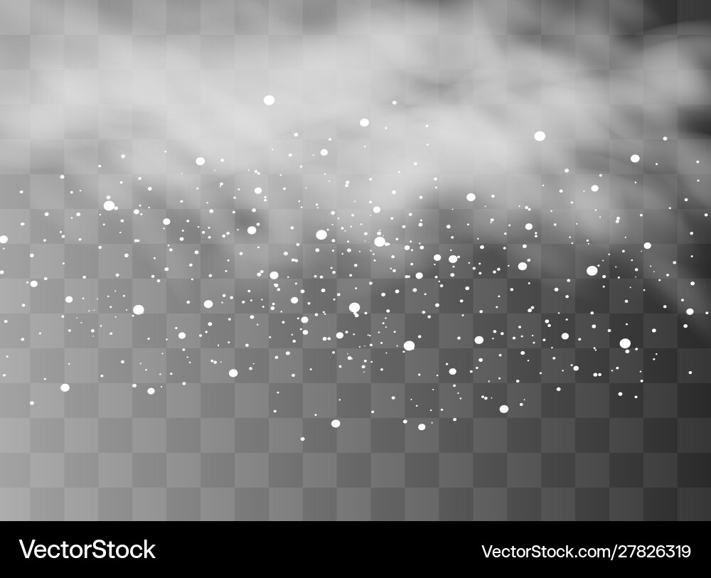 Snow and wind on a transparent background white Vector Image