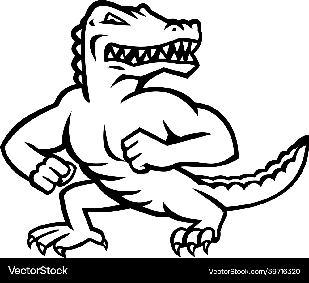 Gator or alligator standing in fighting stance Vector Image