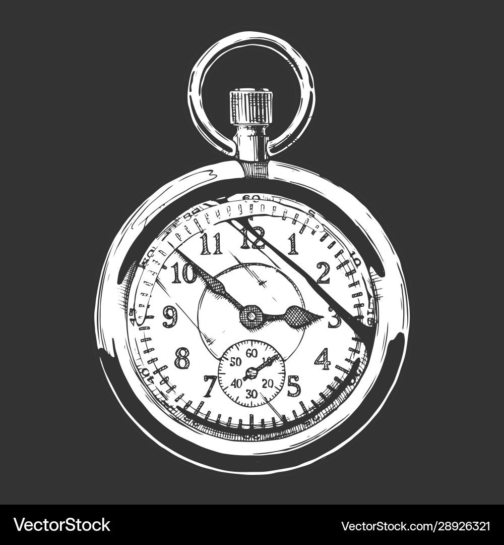 Pocket watch Royalty Free Vector Image - VectorStock