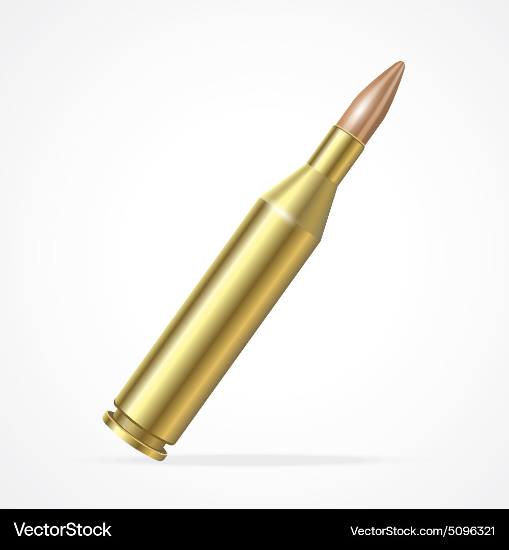Rifle bullet Royalty Free Vector Image - VectorStock