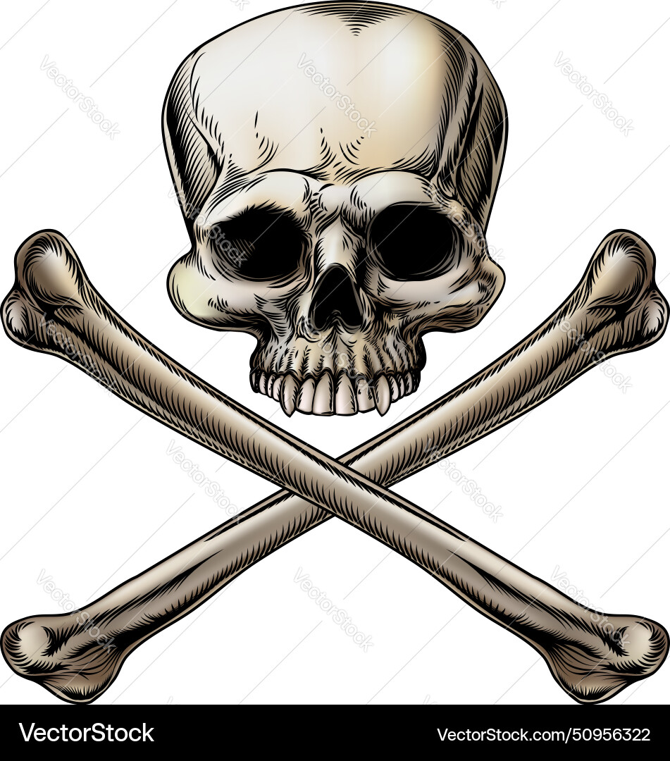 Jolly roger Royalty Free Vector Image - VectorStock