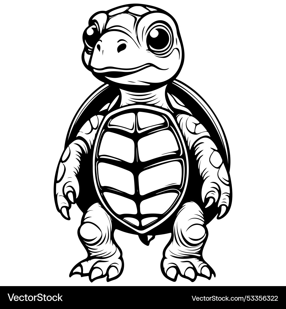 Realistic cartoon turtle drawing vintage line Vector Image