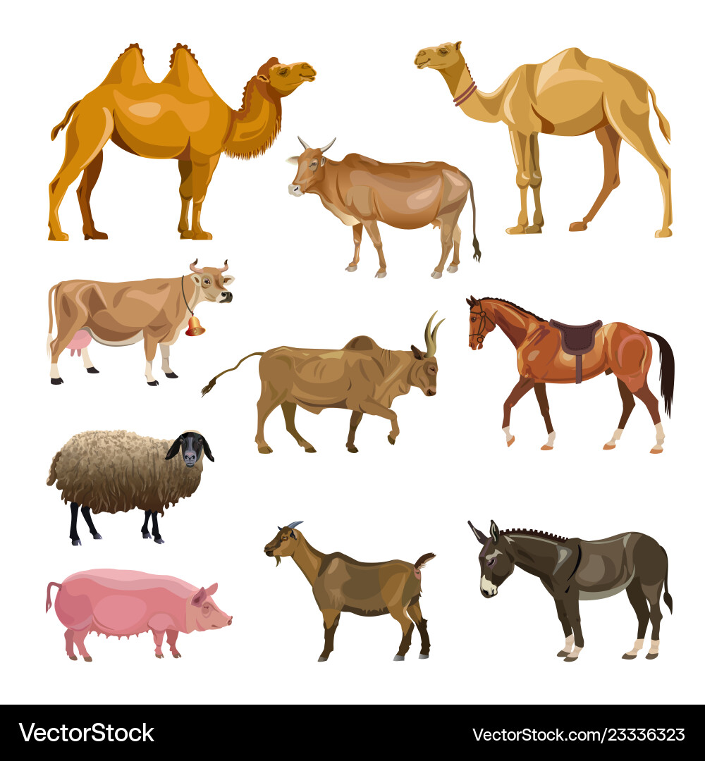 Set of farm animals Royalty Free Vector Image - VectorStock