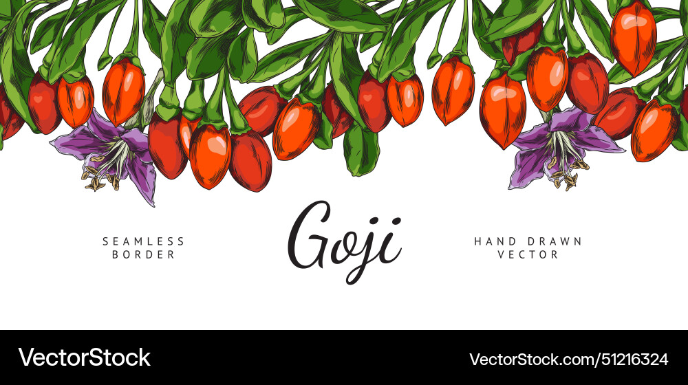 Colorful goji berry border hand-drawn Royalty Free Vector