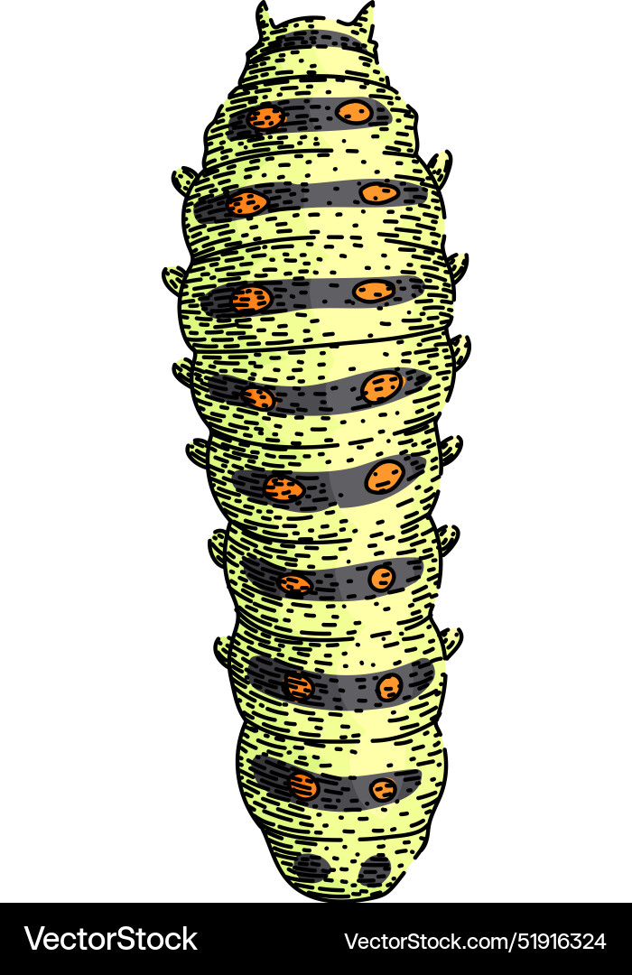 Insect caterpillar sketch hand drawn Royalty Free Vector