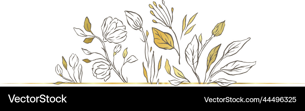 Floral Wedding Divider Frame Royalty Free Vector Image