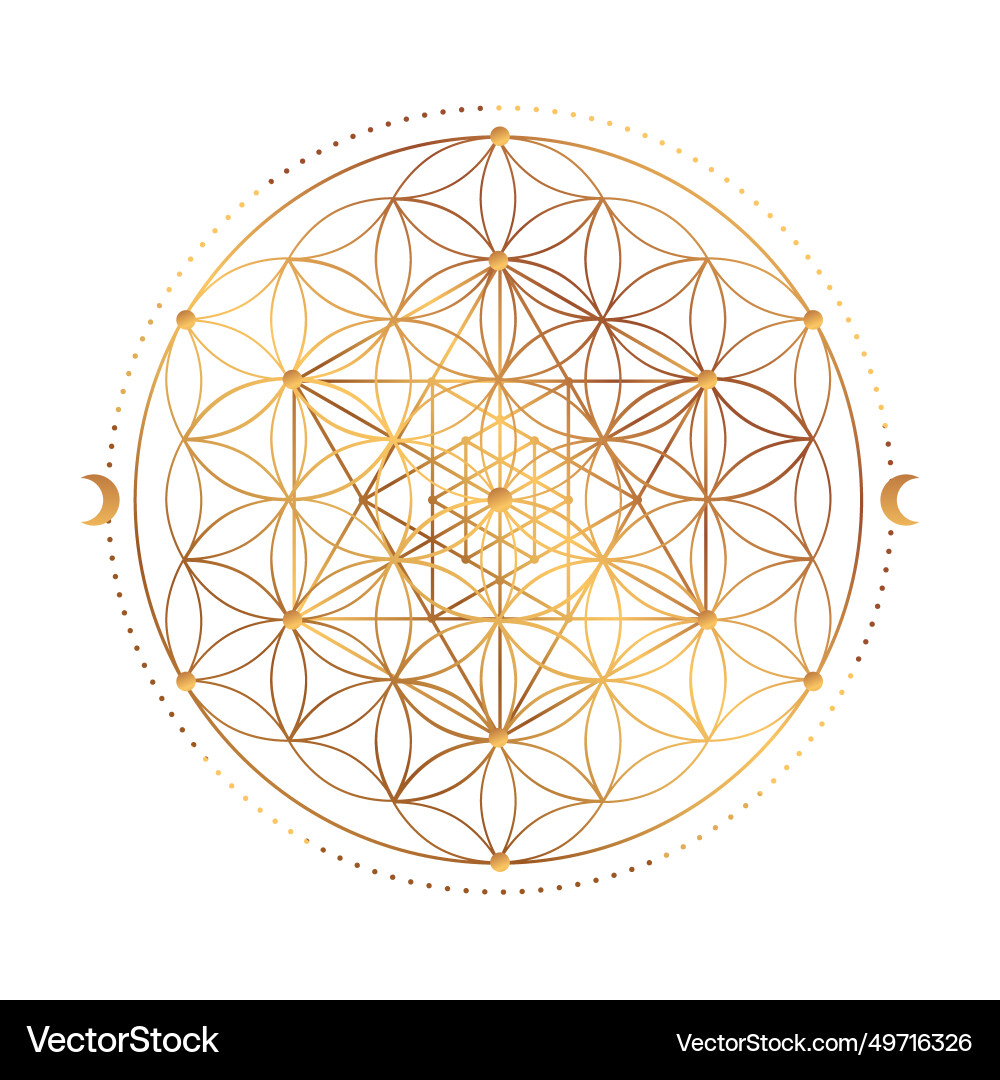 Pattern of sacred geometry symbol Royalty Free Vector Image