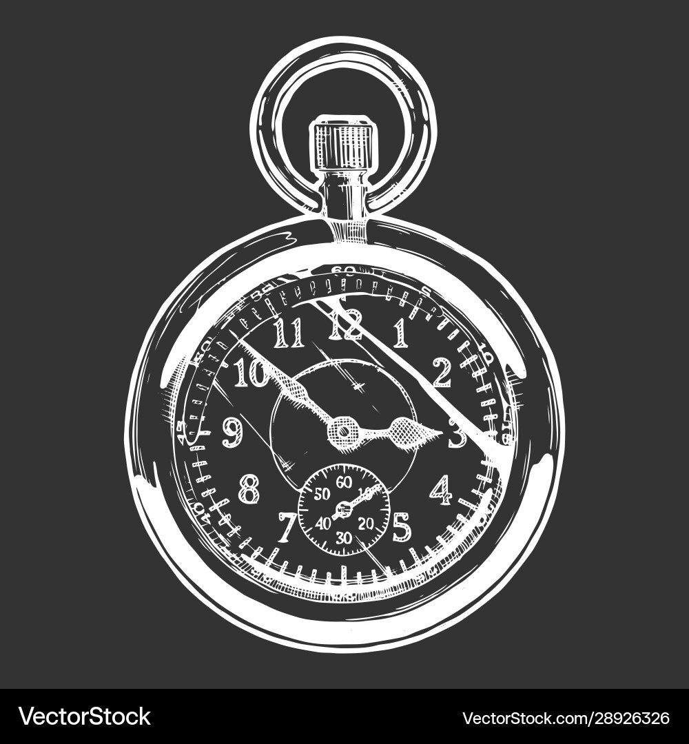 Pocket watch Royalty Free Vector Image - VectorStock
