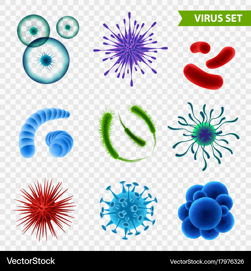 Realistic viruses on transparent background set Vector Image