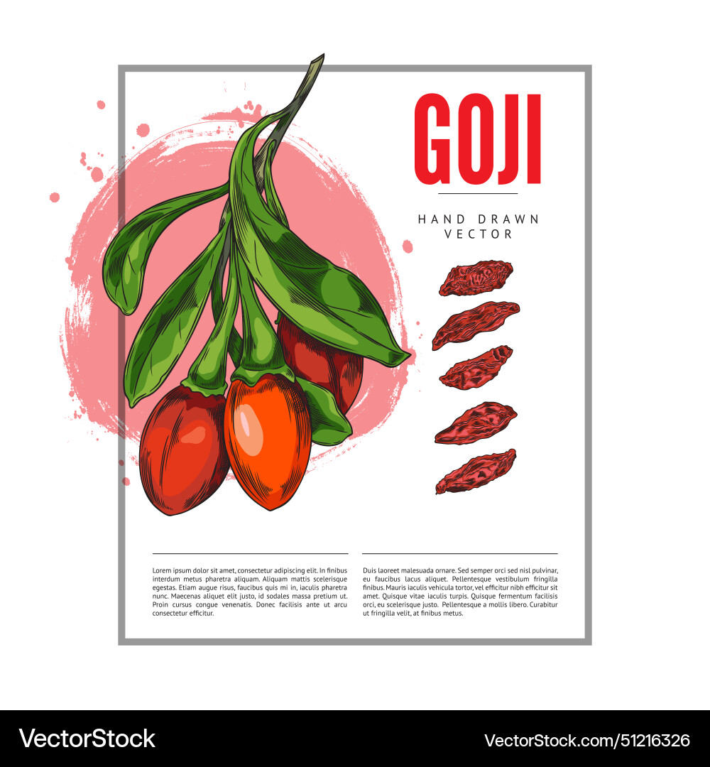 Vibrant goji berry and dried fruit Royalty Free Vector Image