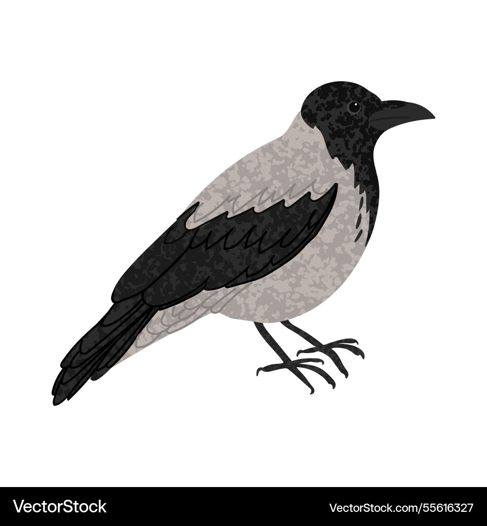 Colorful of crow Royalty Free Vector Image - VectorStock