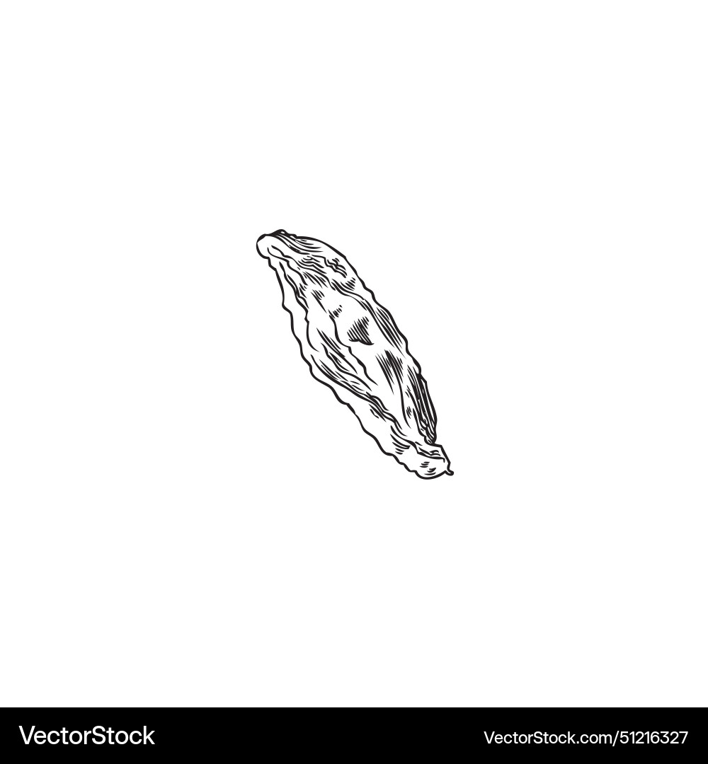 Dried goji berry line art Royalty Free Vector Image