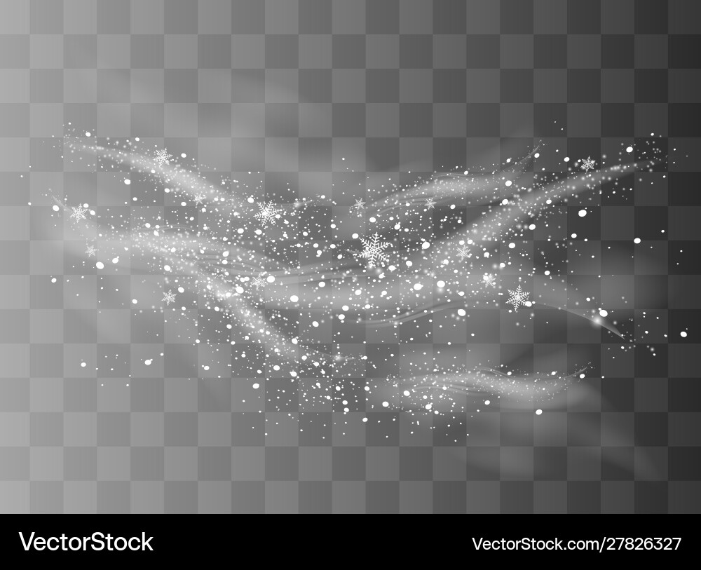 Snow and wind on a transparent background white Vector Image