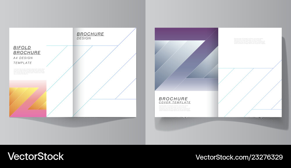 Layout of two a4 format modern cover Royalty Free Vector