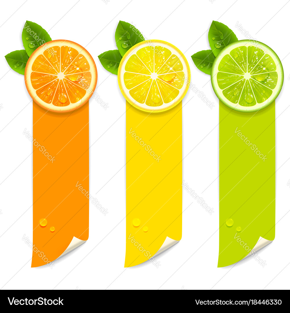 Banners with orange lemon and lime Royalty Free Vector Image