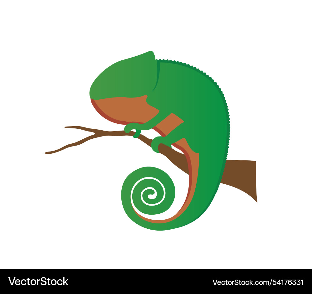 Creative chameleon symbol Royalty Free Vector Image