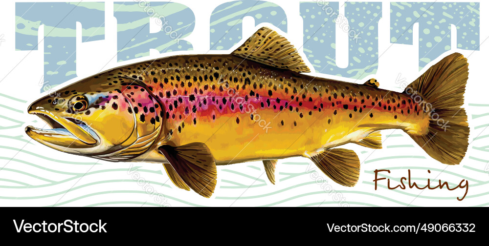 Brown trout Royalty Free Vector Image - VectorStock