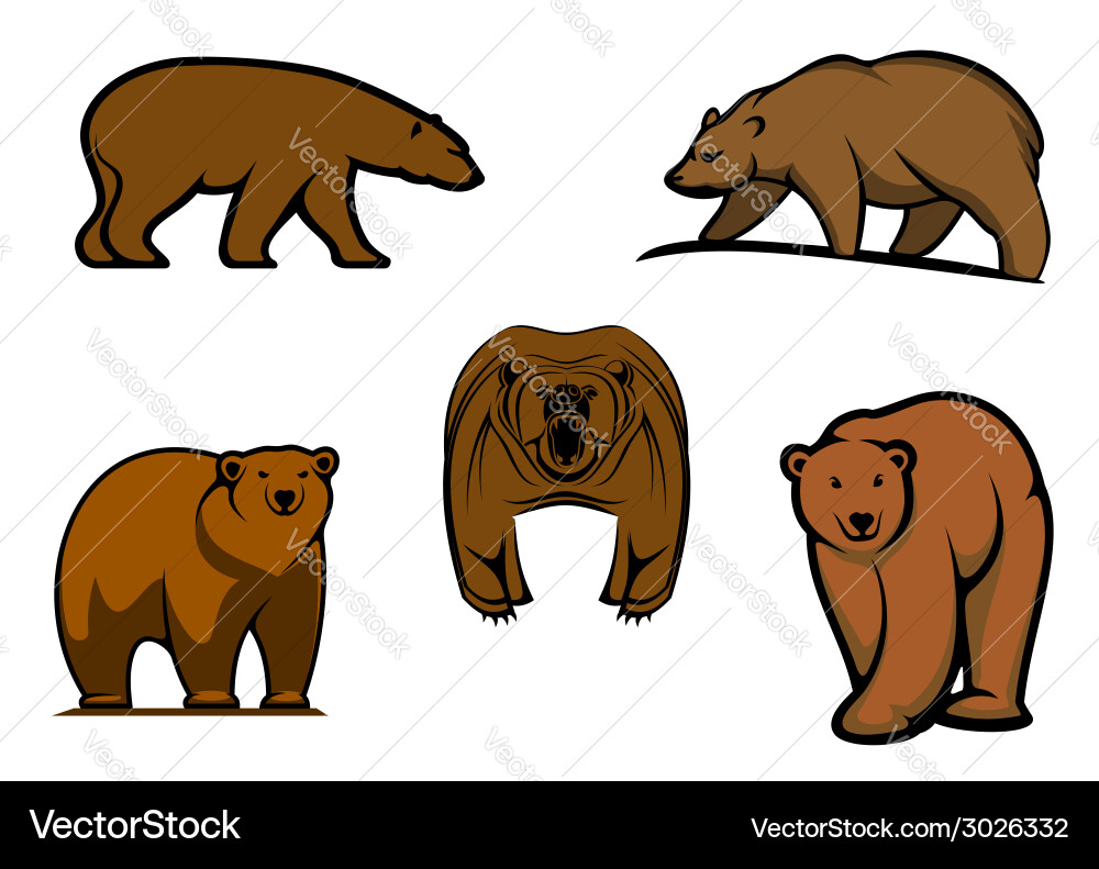 Brown wild bear characters Royalty Free Vector Image