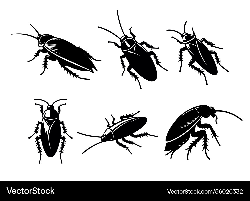 Cockroach silhouette set insect Royalty Free Vector Image