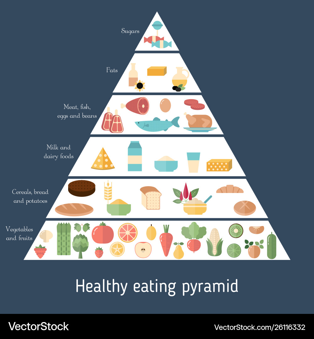 Healthy Food Pyramid Infographic – Royalty-Free Vector | VectorStock