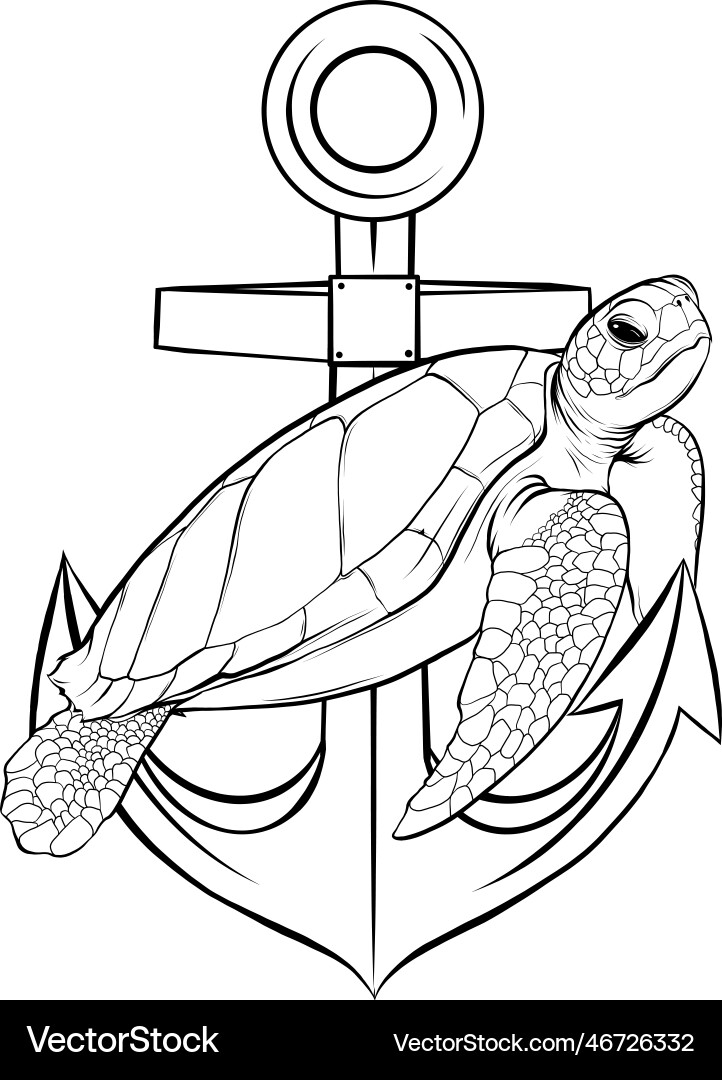 Monochrome sea turtle drawing with black lines Vector Image