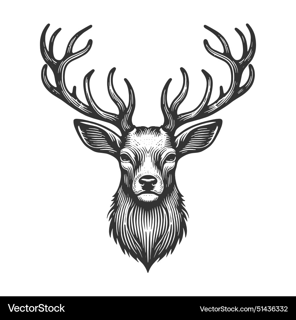 Stag with antlers and foliage engraving Royalty Free Vector