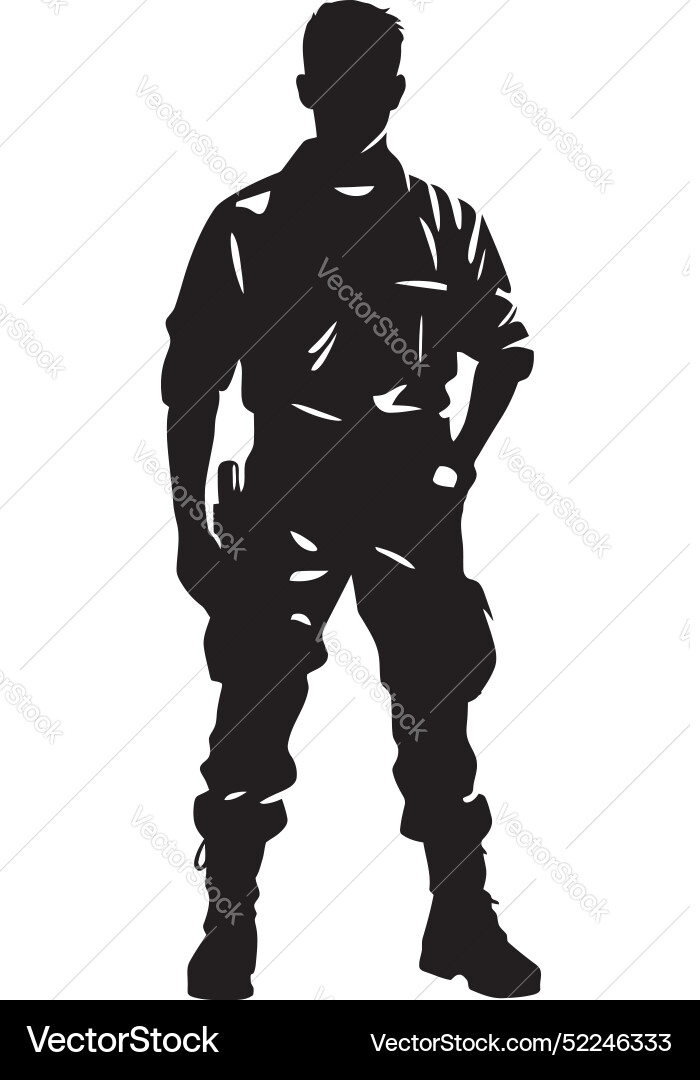 Shadow strike sentinel stylish icon depicting Vector Image