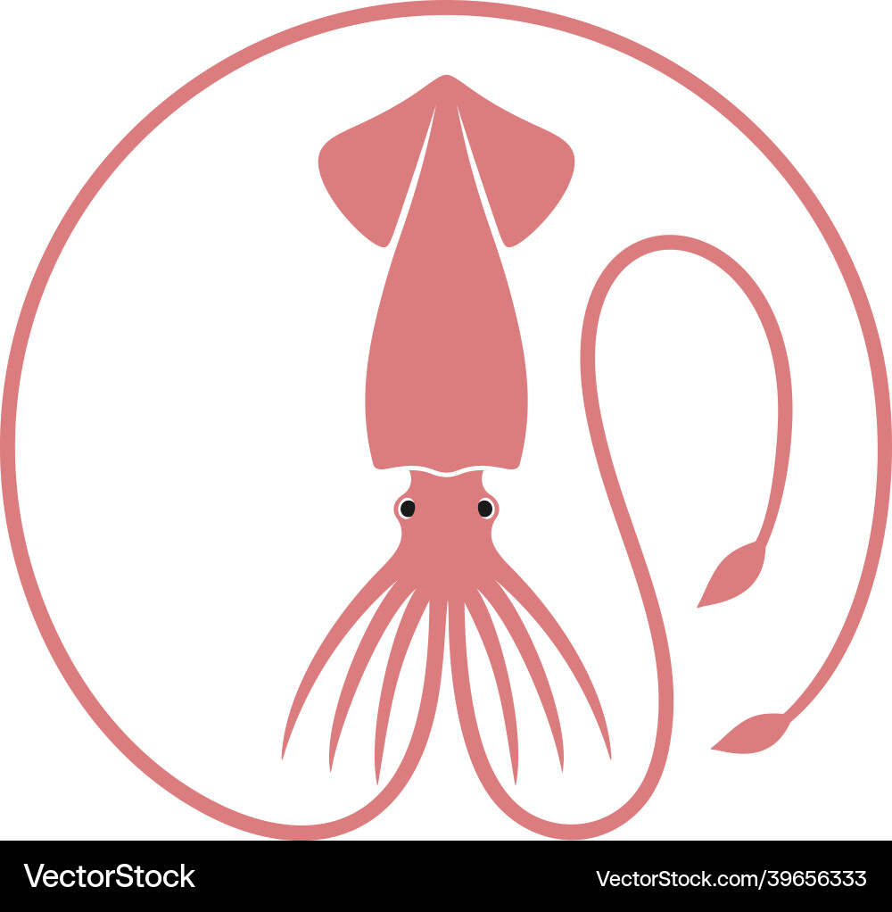Squid Royalty Free Vector Image - VectorStock