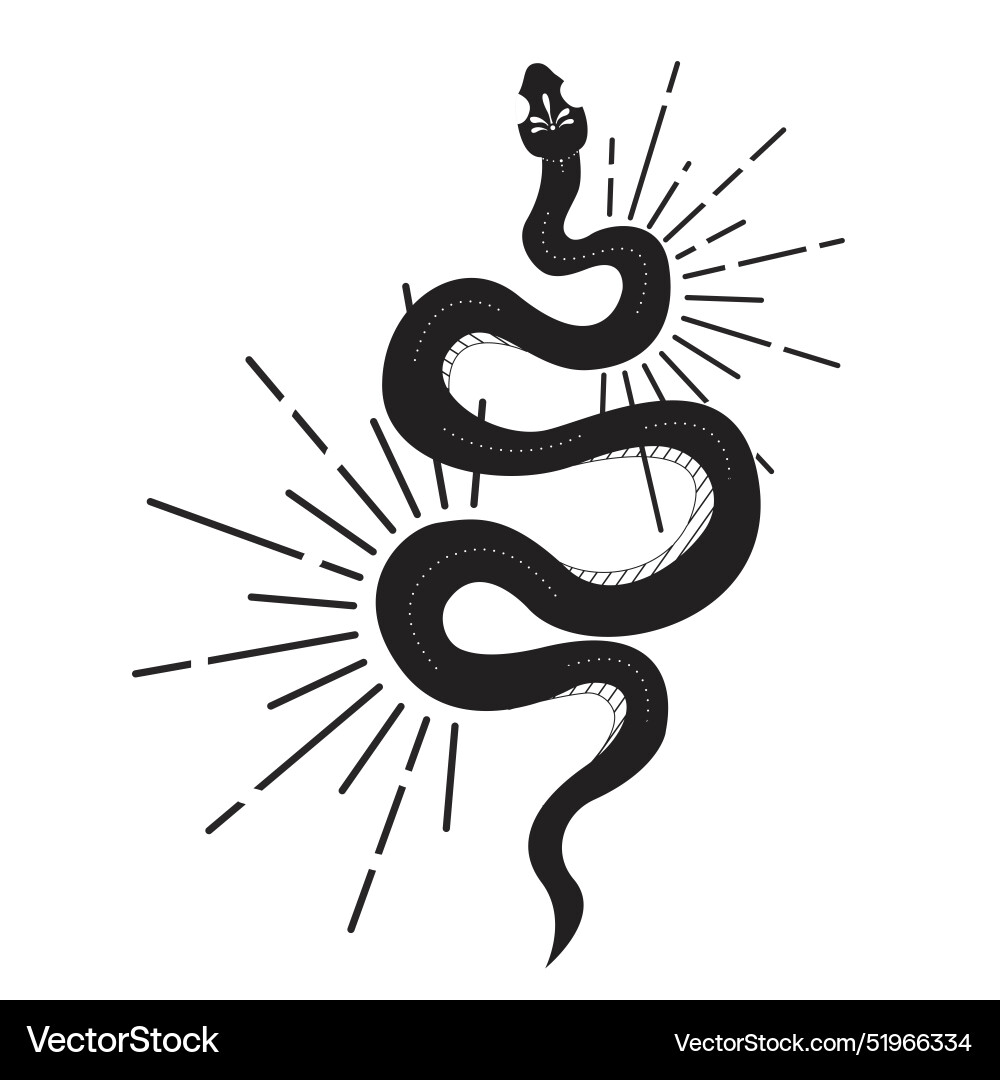 Celestial serpent snake esoteric tarot or tattoo Vector Image