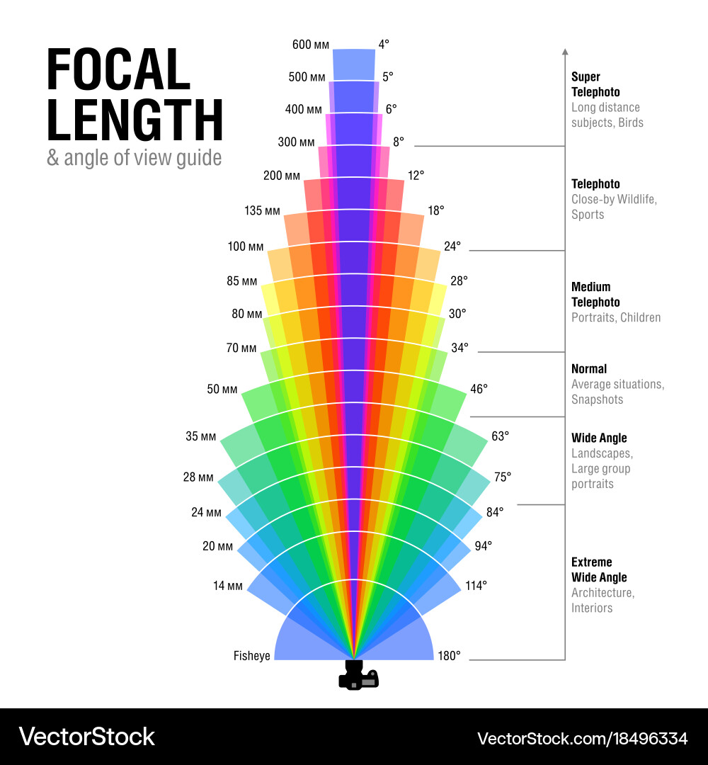 Focal length and angle of view guide Royalty Free Vector