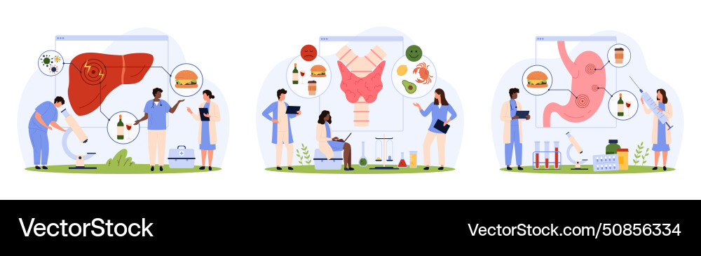 Harmful effects of unhealthy diet on internal Vector Image