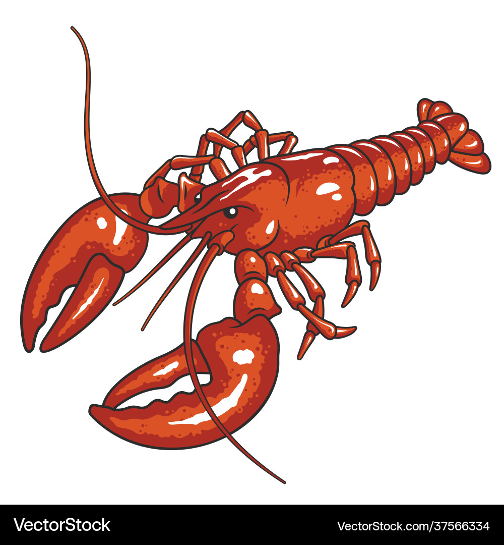 Red Lobster Graphic Royalty Free Vector Image - VectorStock