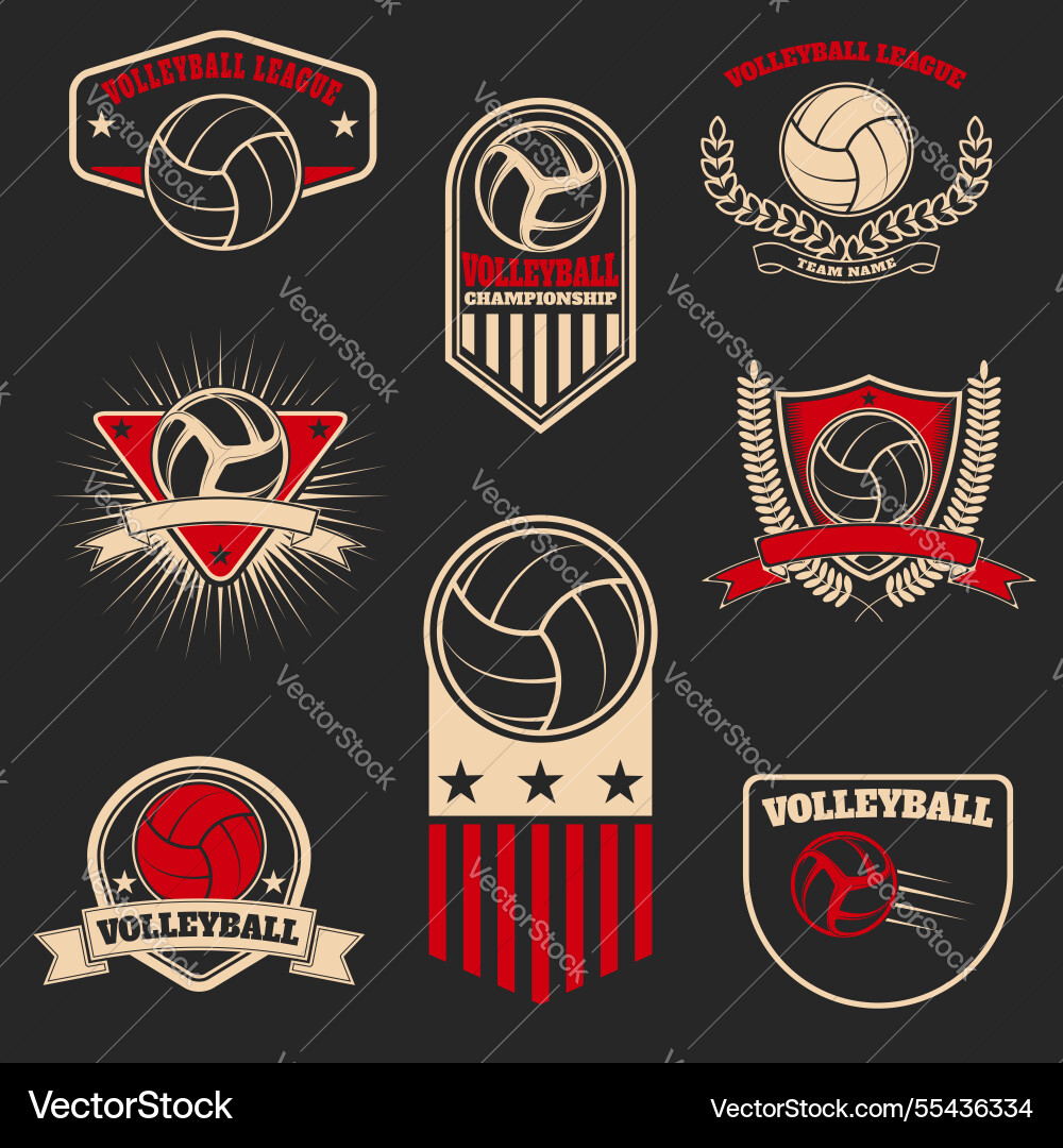 Volleyball labels design elements for logo label Vector Image