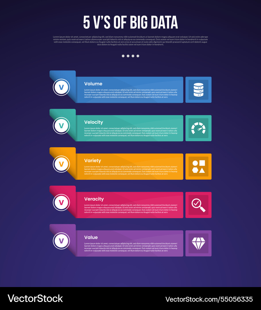 5vs big data infographic template with rectangle Vector Image