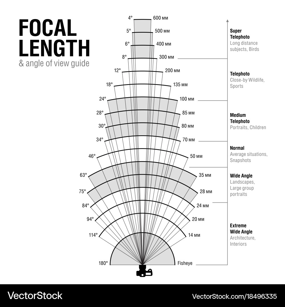Focal Length & Angle of View Explained Vector Image