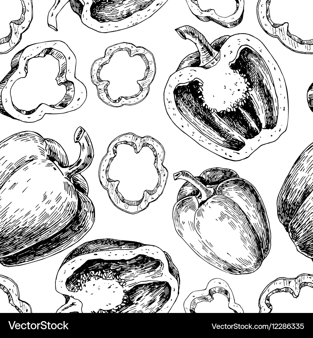 Pepper hand drawn seamless pattern Royalty Free Vector Image