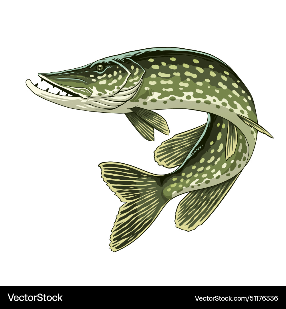 Fish Vector Images (over 520,000)
