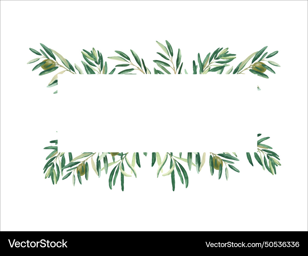 Horizontal frame border with olive branches Vector Image