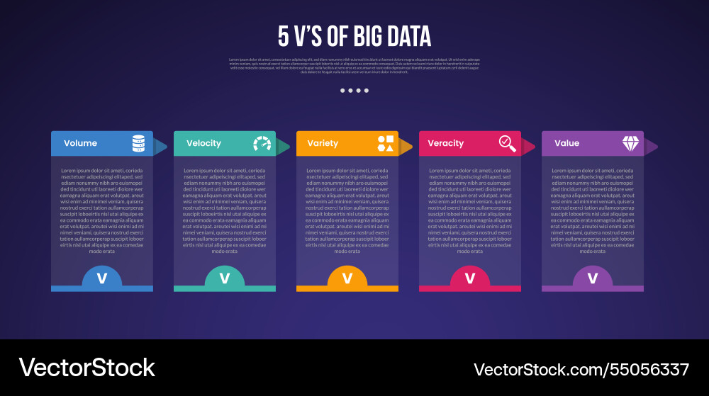 5vs big data infographic template Royalty Free Vector Image